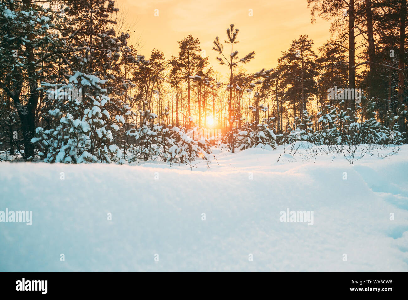 Yellow color sky hi-res stock photography and images - Alamy