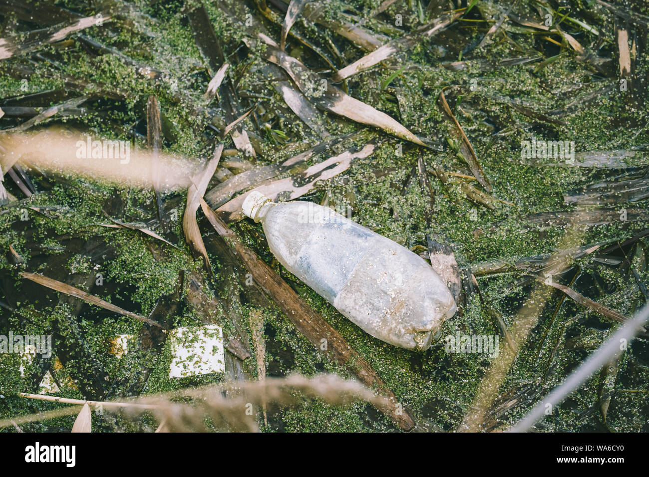 Old Plastic Bottle Floats In Water Of Swamp Or Bog. Used Empty Bottle ...