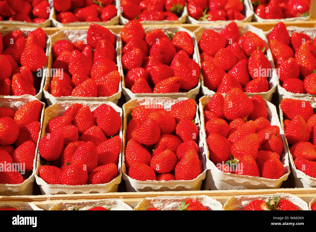 Fresh strawberries (Fragaria) in cups on a market stall, Bremen ...