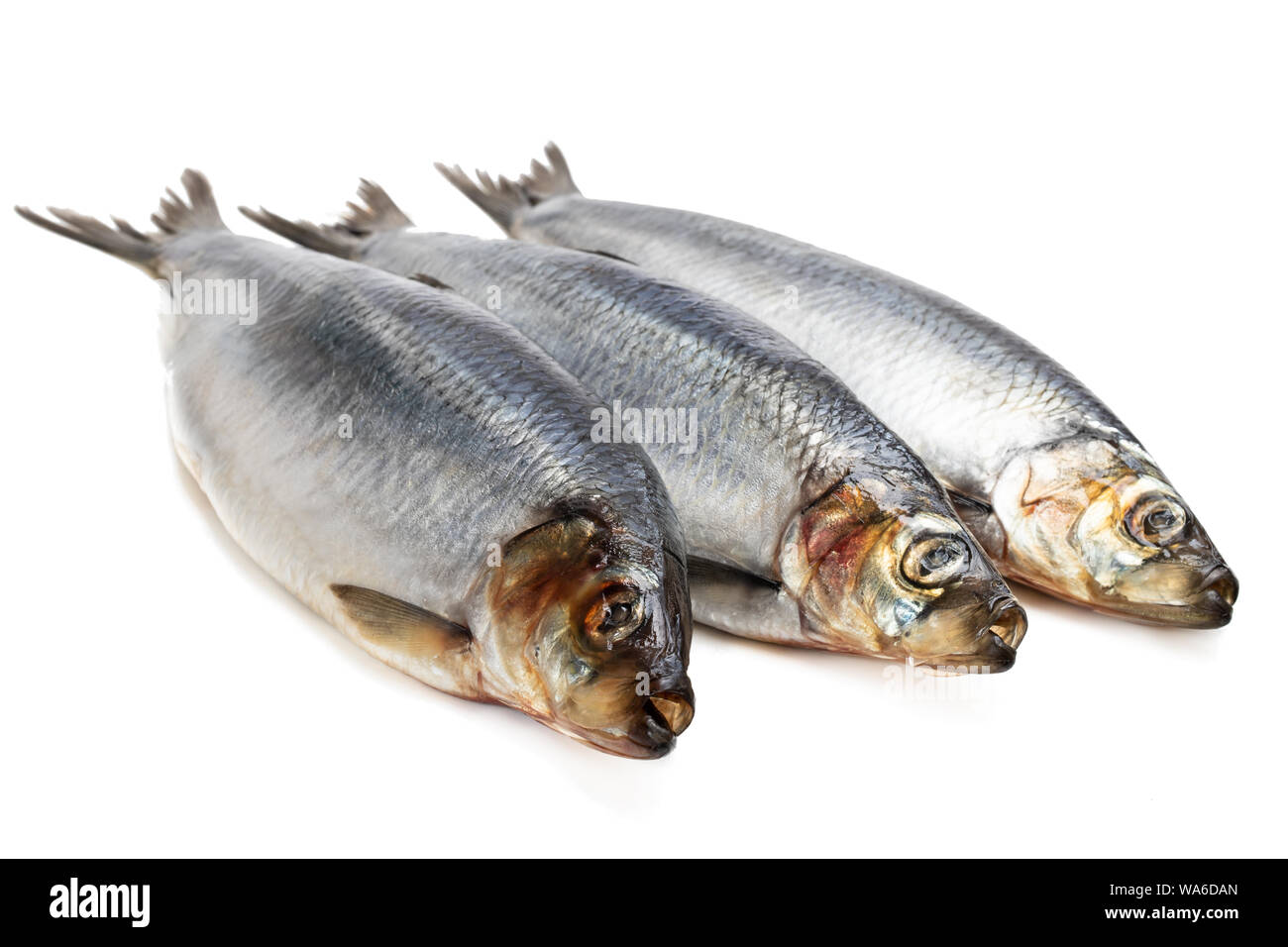 Set of fresh whole herring fish isolated on white Stock Photo - Alamy