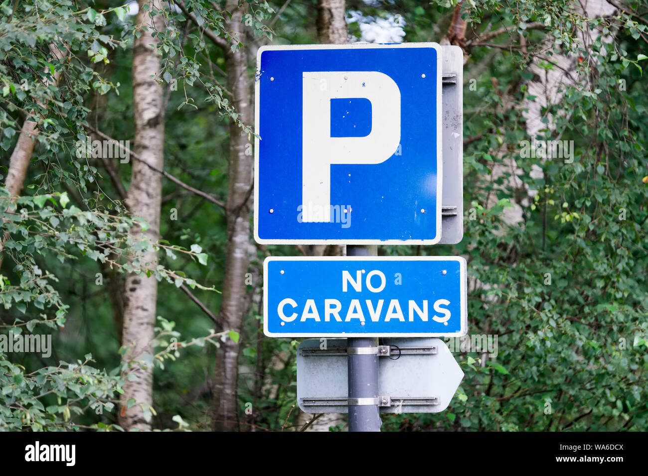 No caravans car parking sign with symbol Stock Photo - Alamy