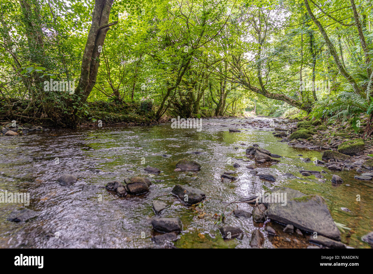 Small shaded fast running river, taken in the morning. South Wales ...