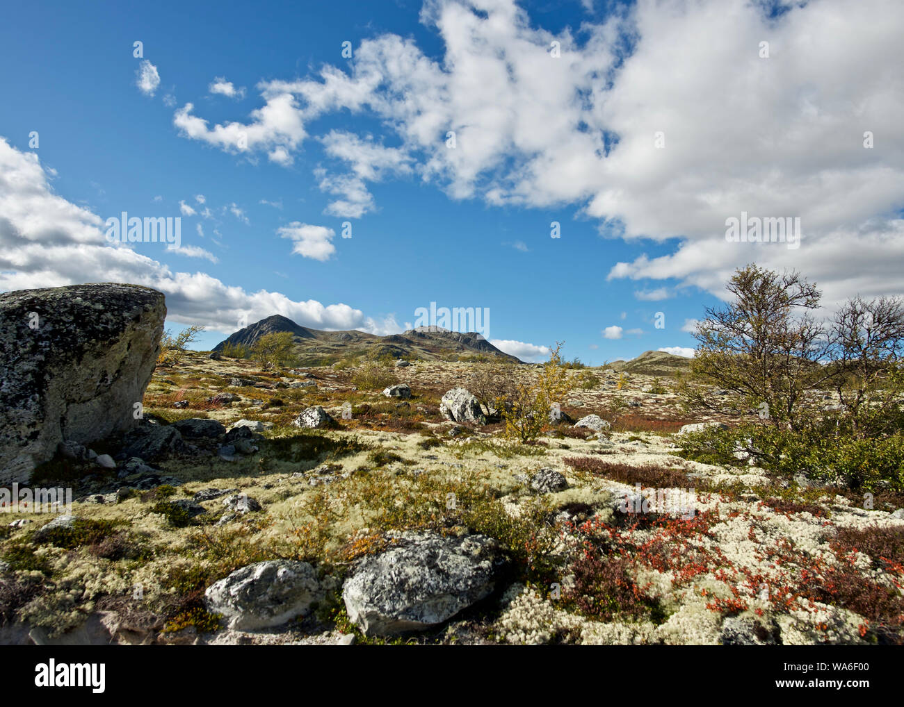 Alvdal hi-res stock photography and images - Alamy
