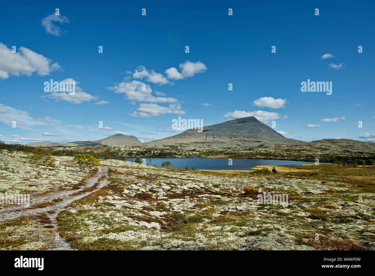 Norwegian landscape in Alvdal Norway Stock Photo - Alamy