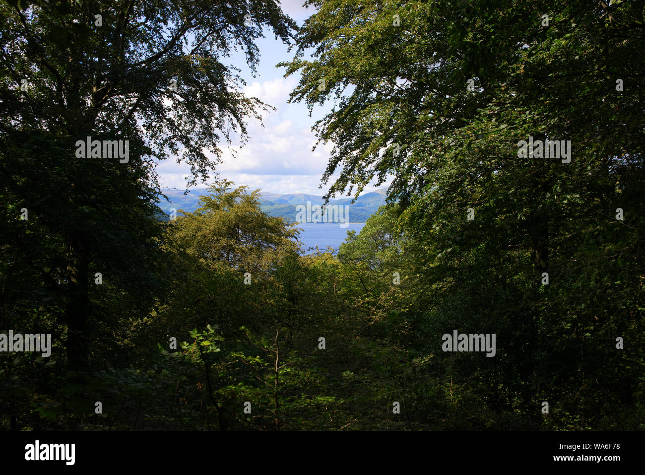 Views of Windermere both on and off the water Stock Photo - Alamy