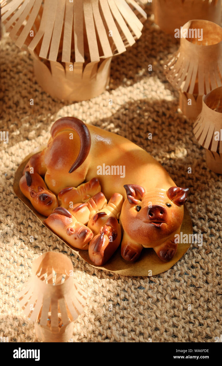 Moon cakes for mid autumn season in mother pig and piggy shape, group ...