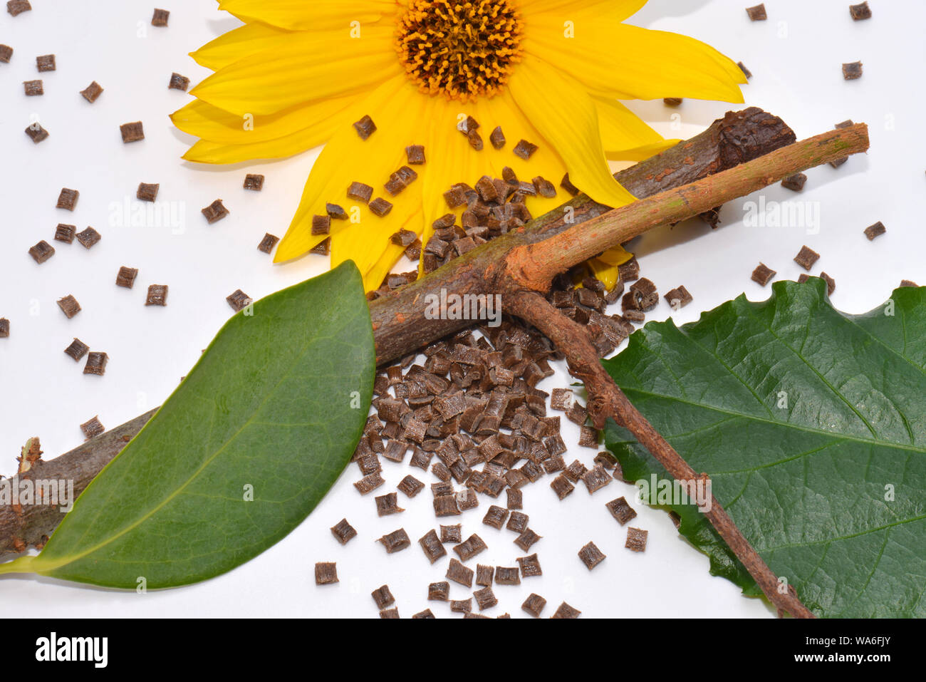 bio polymer in laboratory Stock Photo - Alamy