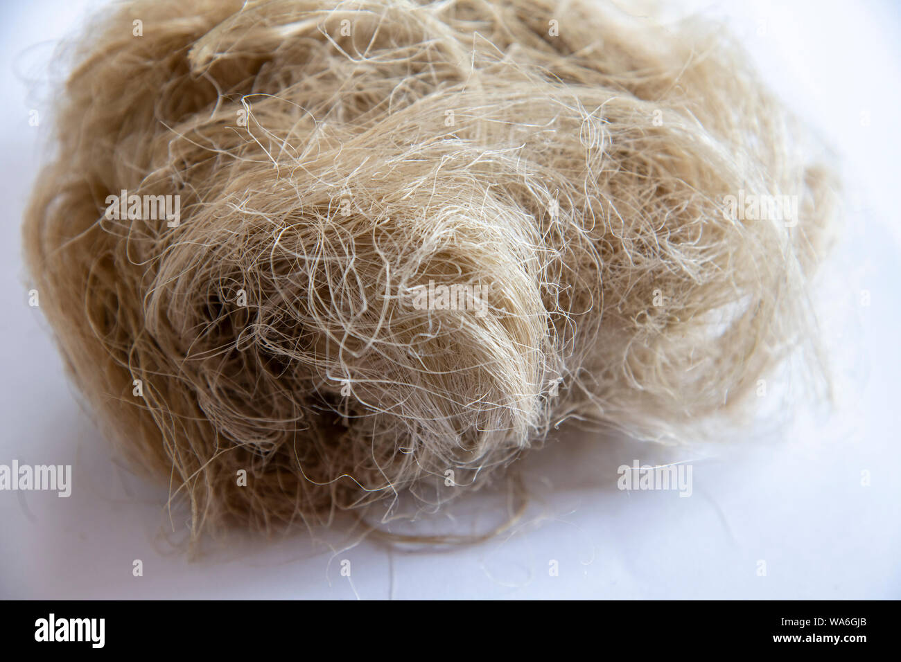 Flax fiber hi-res stock photography and images - Alamy