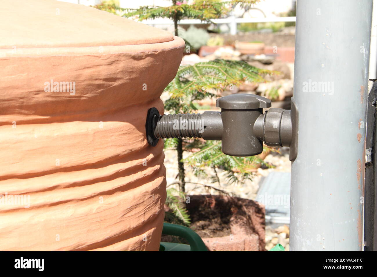 a rain barrel with water connection Stock Photo - Alamy
