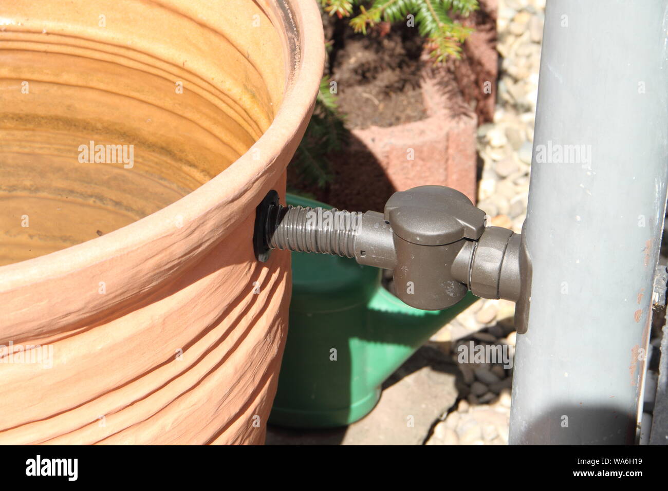 a rain barrel with water connection Stock Photo - Alamy
