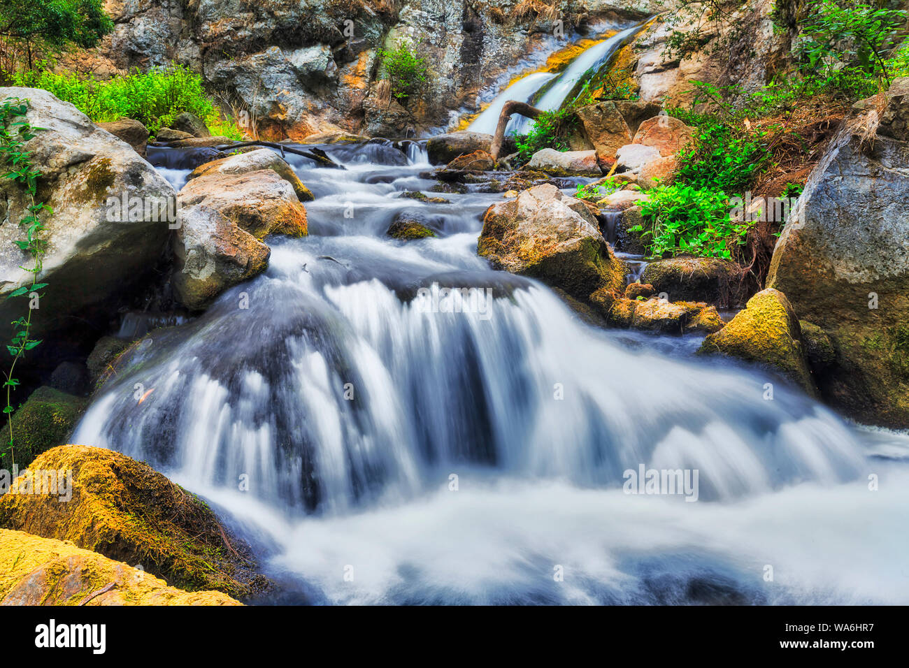 Fast stream of Jenolan river in Blue Mountains of Australia flowing ...