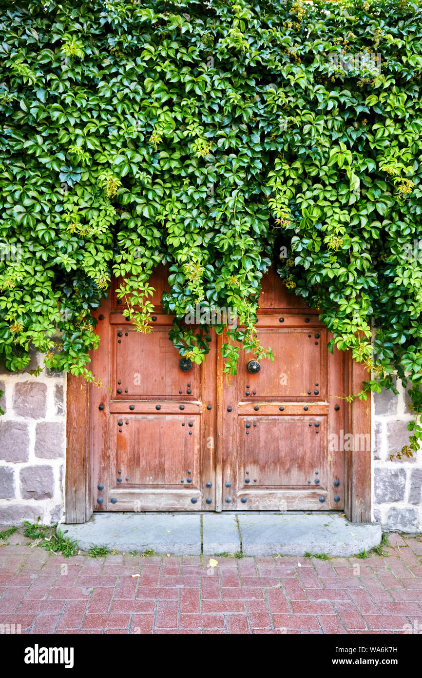 Wooden Door With Vine Covered Wall 20 Antique Doors For An Urban And