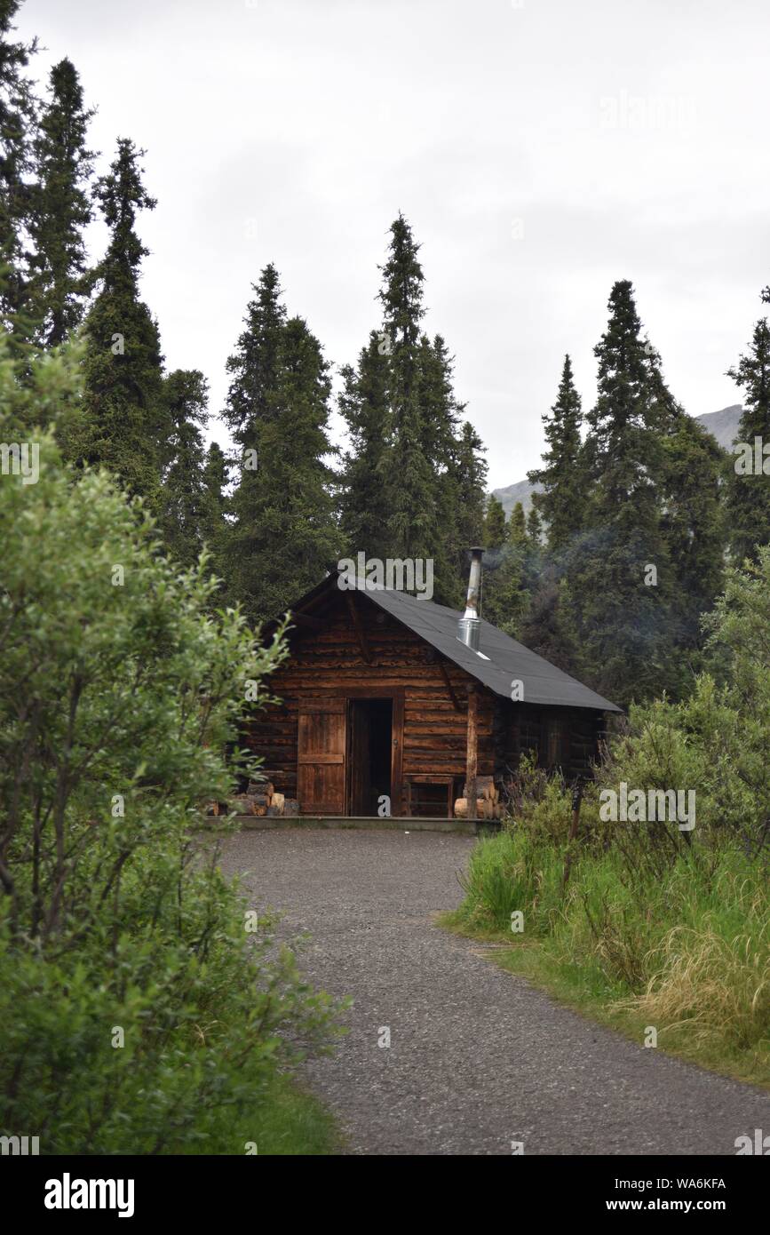 Denali National Park. Alaska. U.S.A. June 24, 2019. Savage River cabin ...
