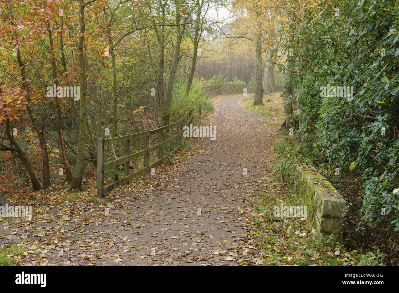 Path at St Ives Estate, Bingley, West Yorkshire, England, November ...