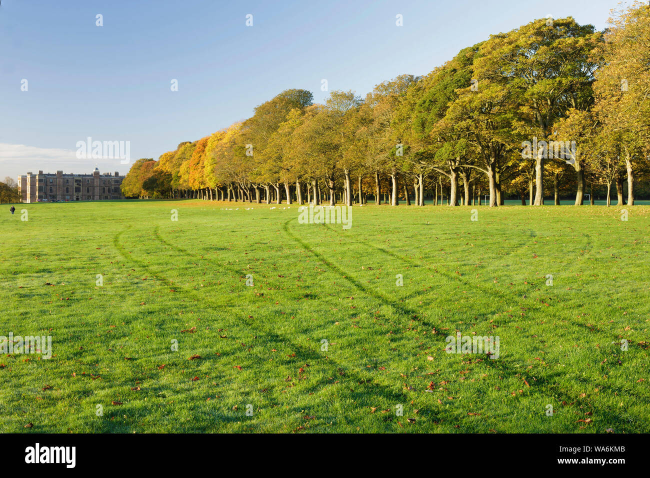 Tracks through grass, Temple Newsam Estate, Leeds, West Yorkshire ...