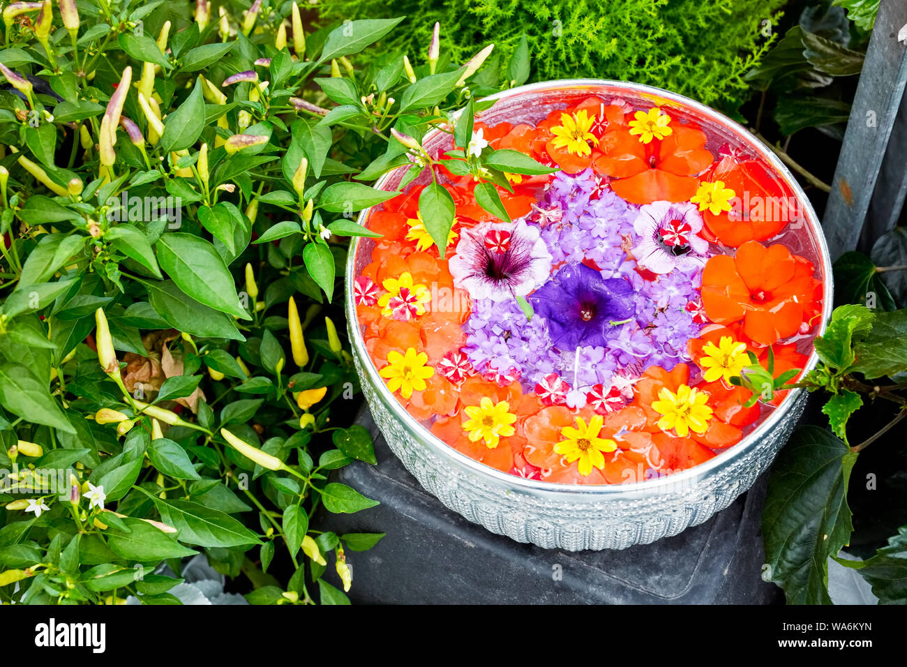 Floating hydrangea flowers hi-res stock photography and images - Alamy