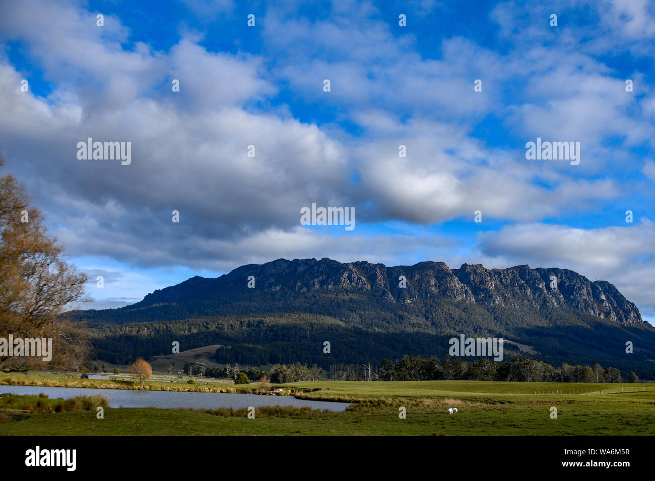 View of Mount Roland across green farmland and lake near Sheffield ...