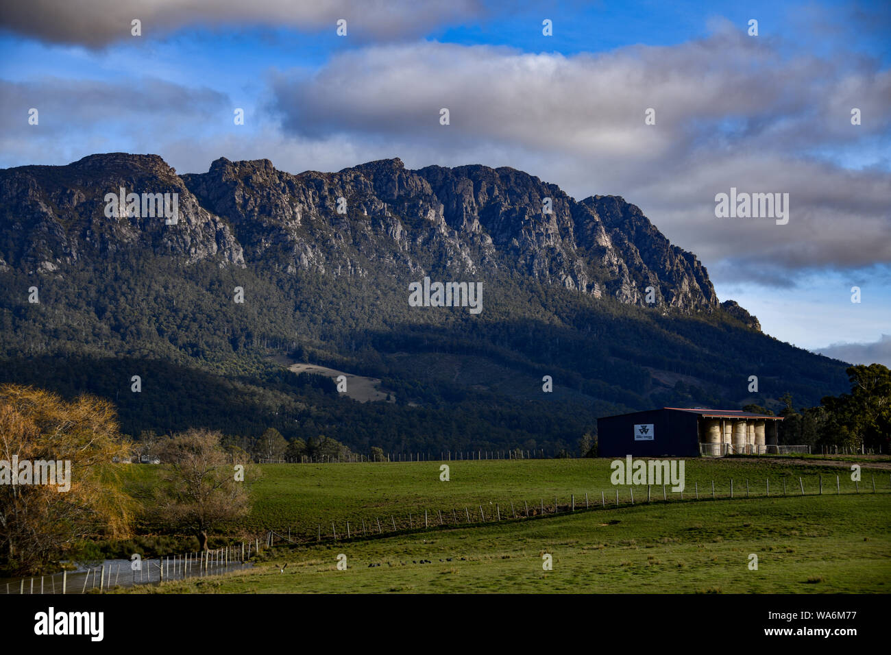 View of Mount Roland across green farmland near Sheffield Tasmania ...