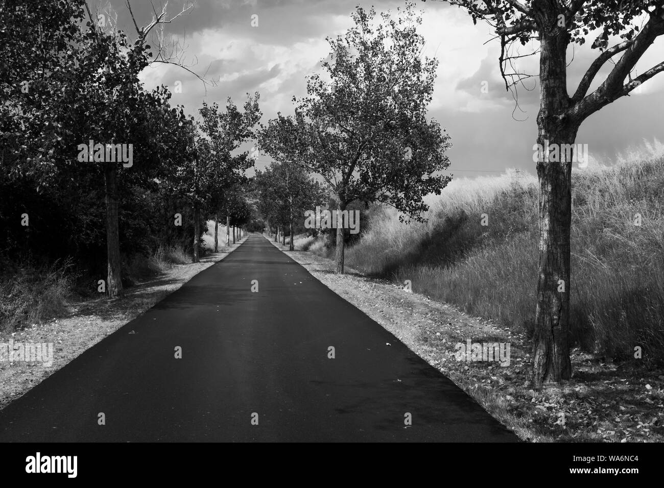 Roadside edges Black and White Stock Photos & Images - Alamy