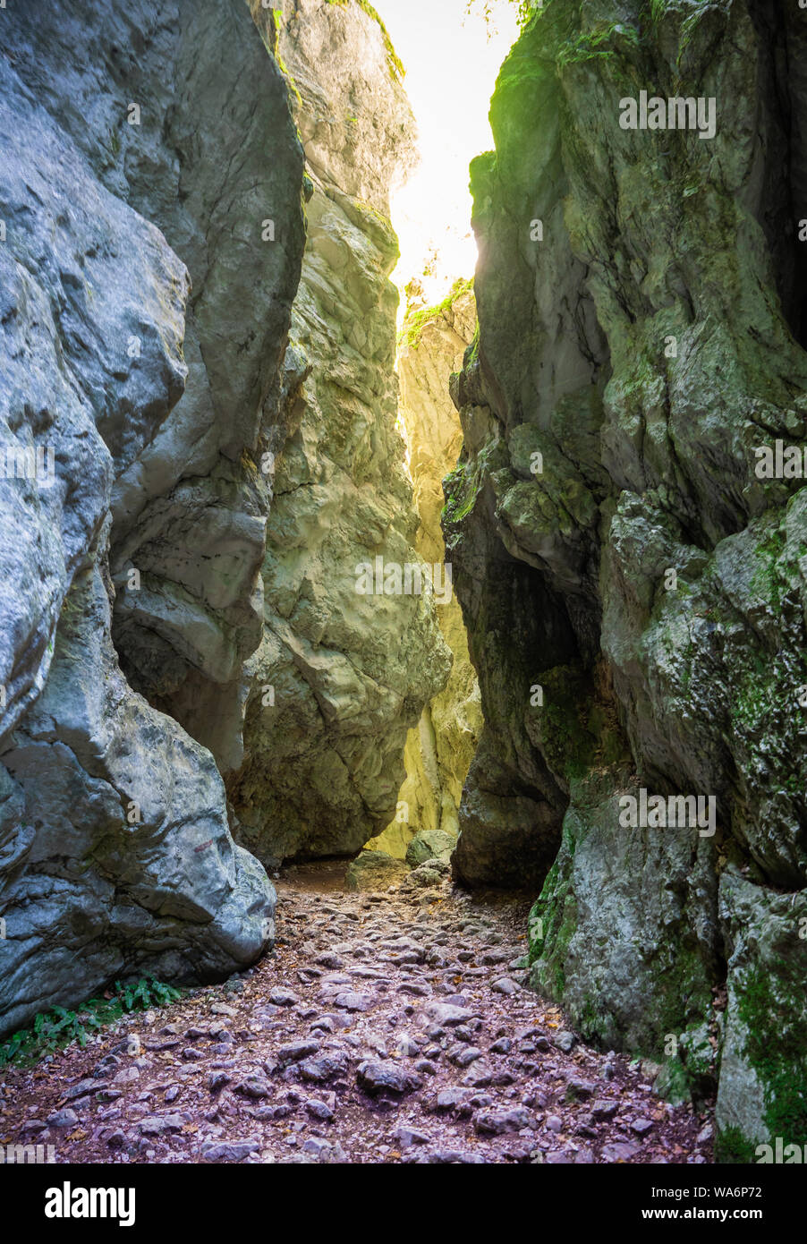 Gole dell'Infernaccio (Italy) - A naturalistic wild attraction in the ...