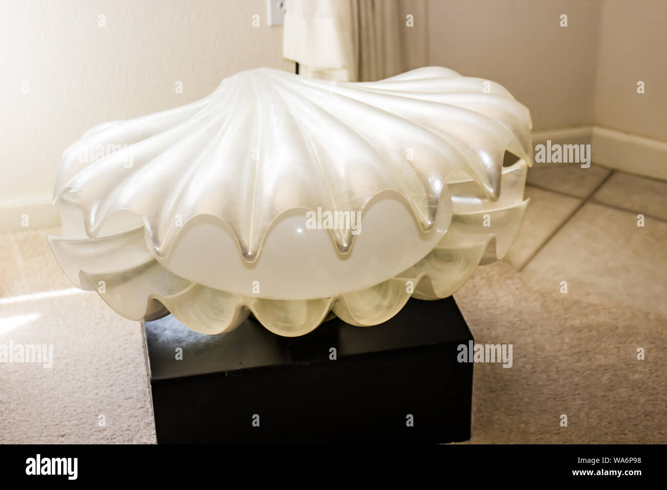 Plastic Clam Shell Light On Wooden Base Stock Photo - Alamy