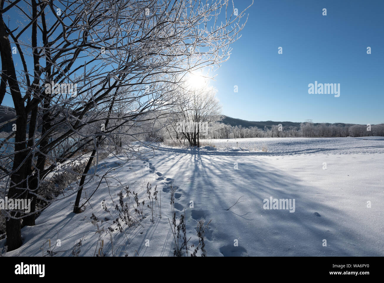 Sub-Zero Japanese Morning Stock Photo - Alamy