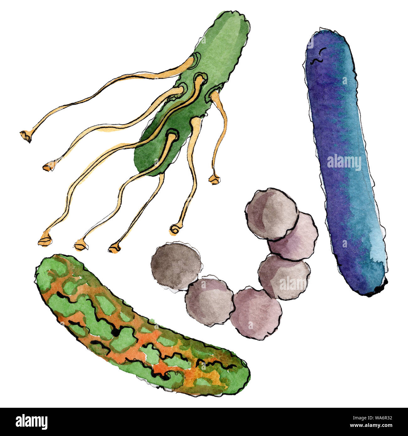 Microbe or germ hand drown illustration. Watercolor background ...