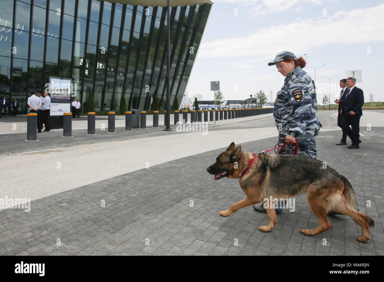 K9 Patrol High Resolution Stock Photography and Images - Alamy