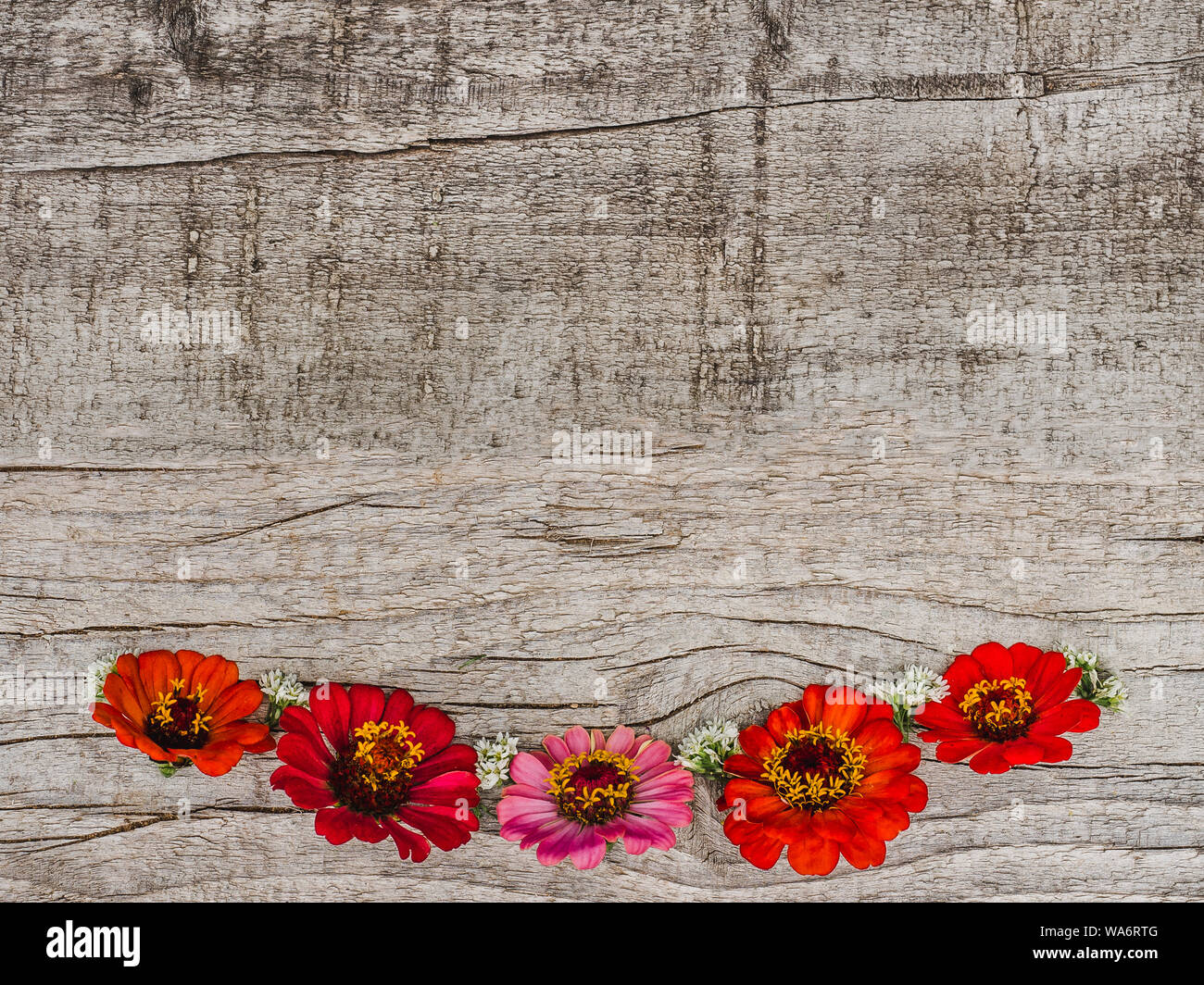 Beautiful bright flowers lying on unpainted boards. Place for your ...