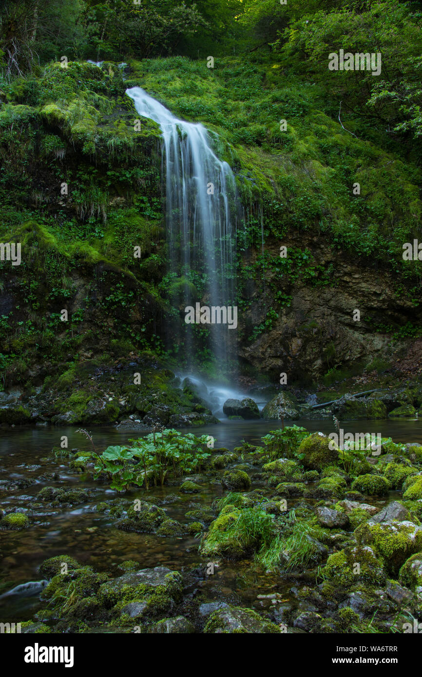 Beautiful green colorful small waterfall Stock Photo - Alamy