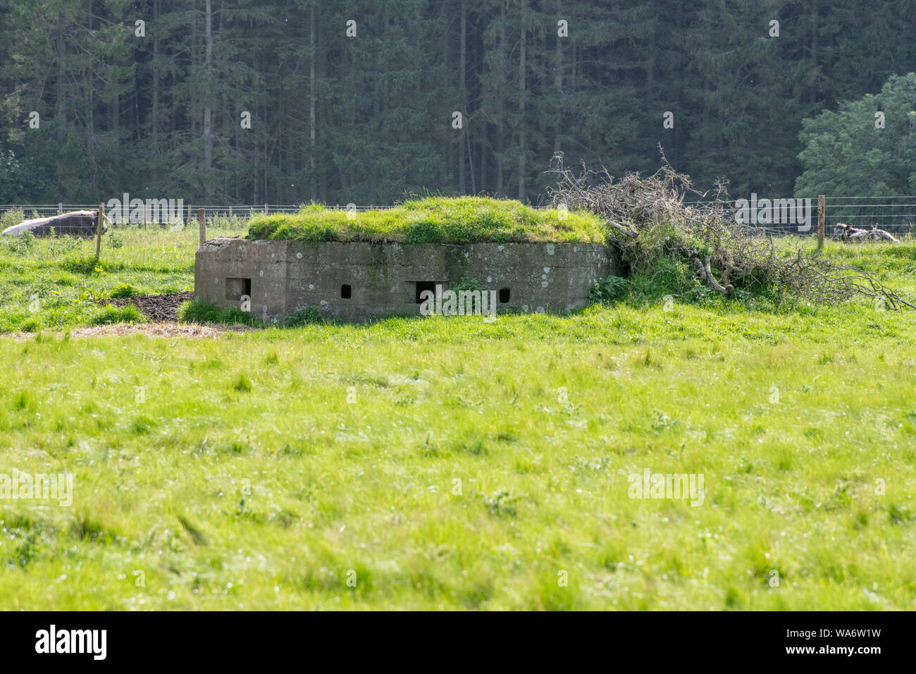 WW2 Pill in Northumberland Field Stock Photo - Alamy