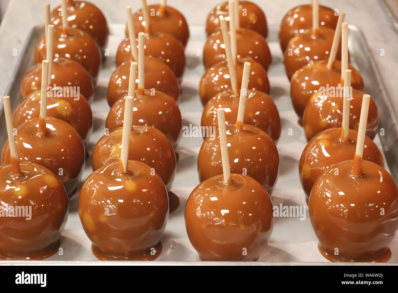shiny fresh caramel apples with sticks on a metal baking sheet Stock ...