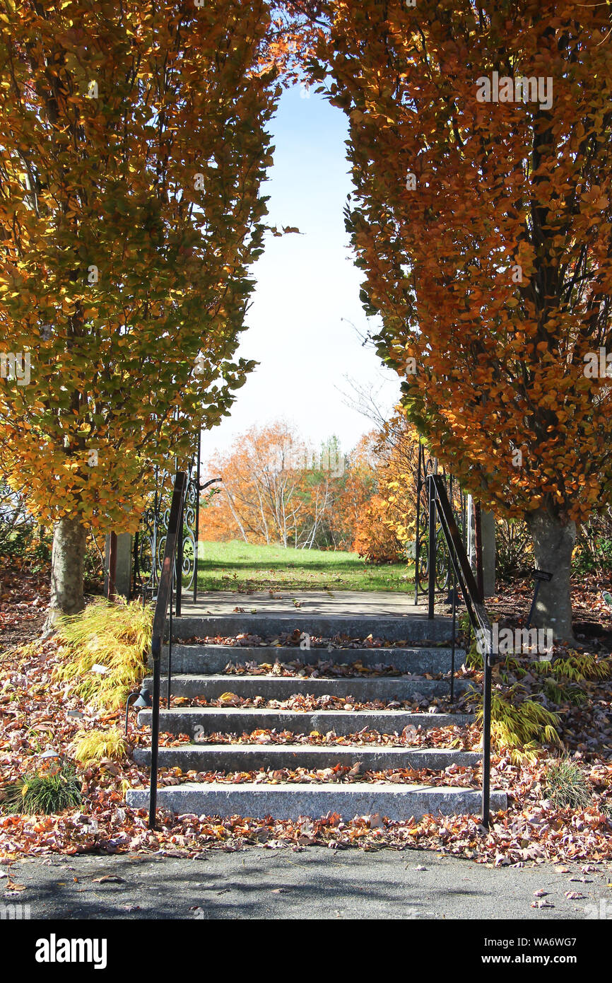 granite staircase covered in leaves flanked by 2 trees in full fall ...