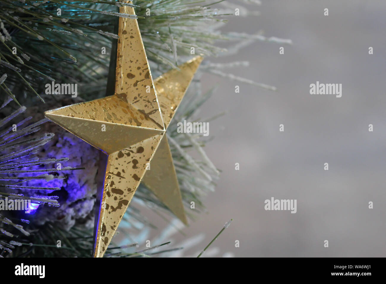 Gold star family hi-res stock photography and images - Alamy