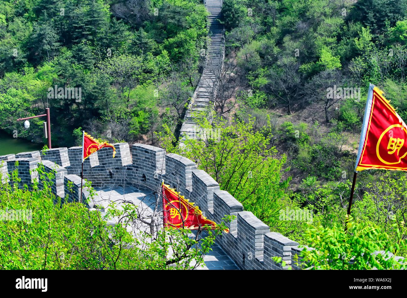 China Green Great Wall Trees High Resolution Stock Photography and ...