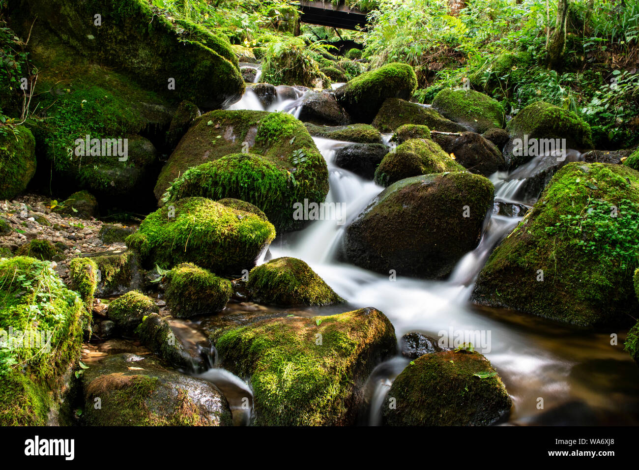 Water flowing down the river Stock Photo - Alamy