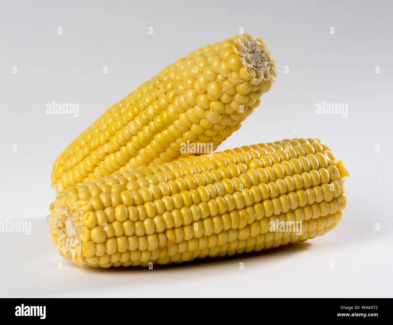 Two fresh corn cobs Stock Photo - Alamy