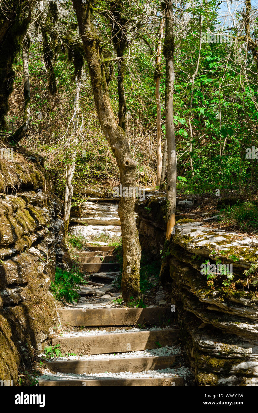 staircase on an ecological path through a natural passage in the rocks ...