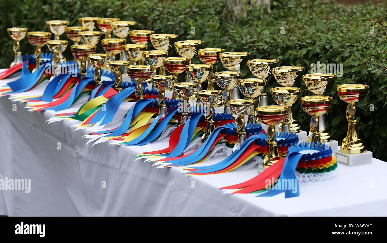 Beautiful colorful awards on the table to the winners of the races on ...