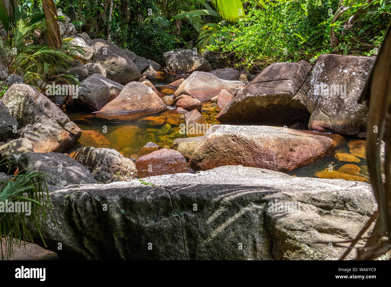 Waterfall on Seychelles island Mahé Stock Photo - Alamy