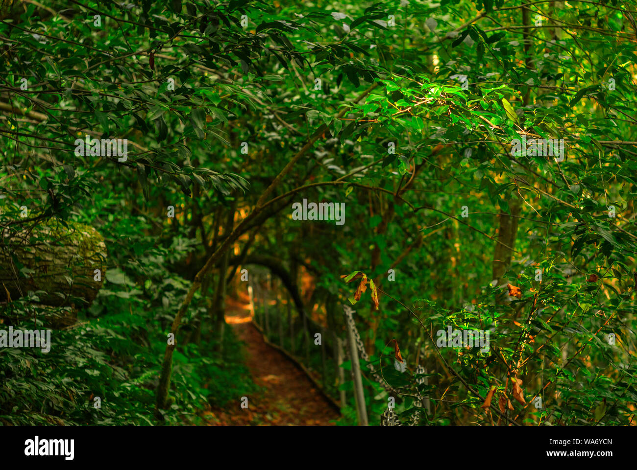 Chain railing hi-res stock photography and images - Alamy