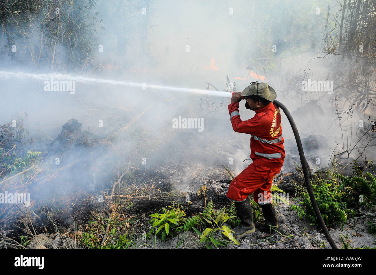 South Sumatra, Indonesia. 18 August 2019. Indonesian firefighters tried ...