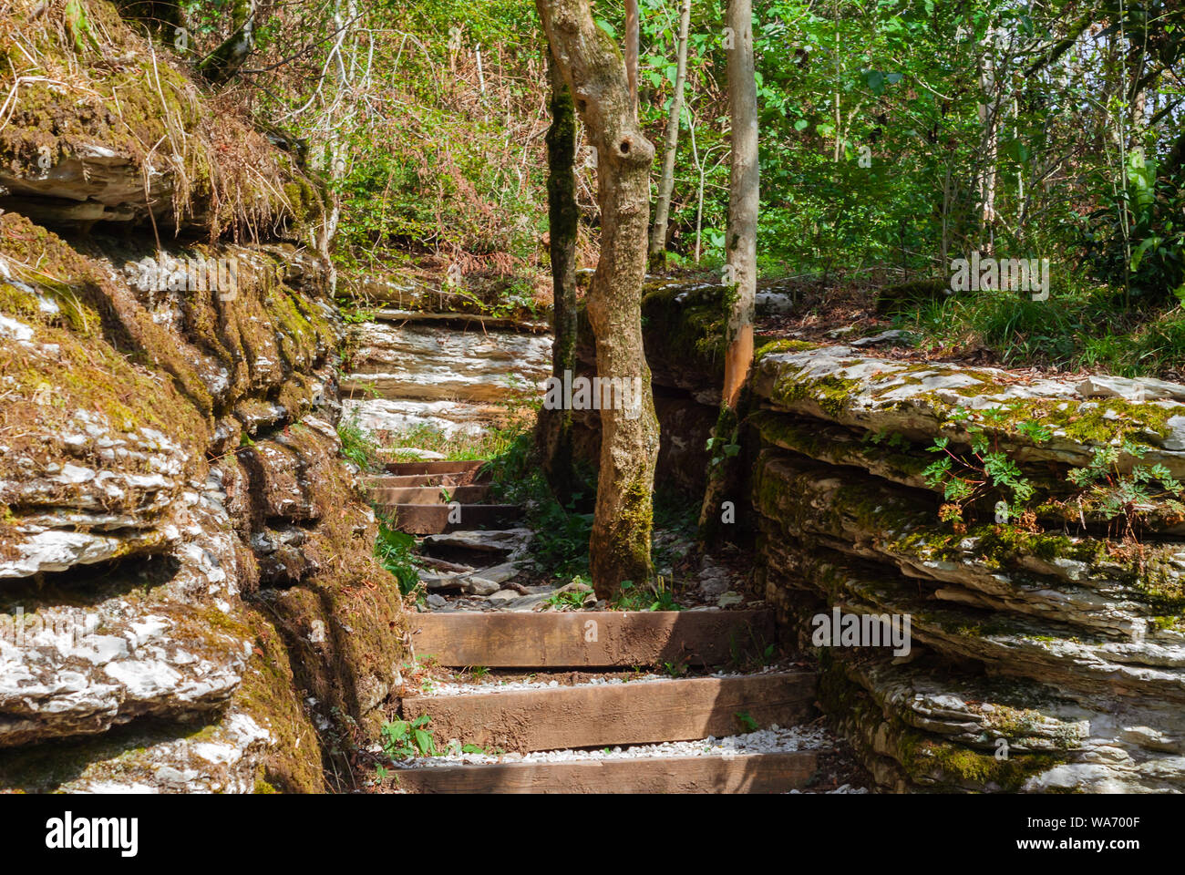 staircase on an ecological path through a natural passage in the rocks ...
