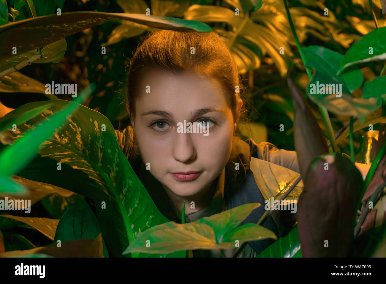 Broadleaf tropical rainforest hi-res stock photography and images - Alamy