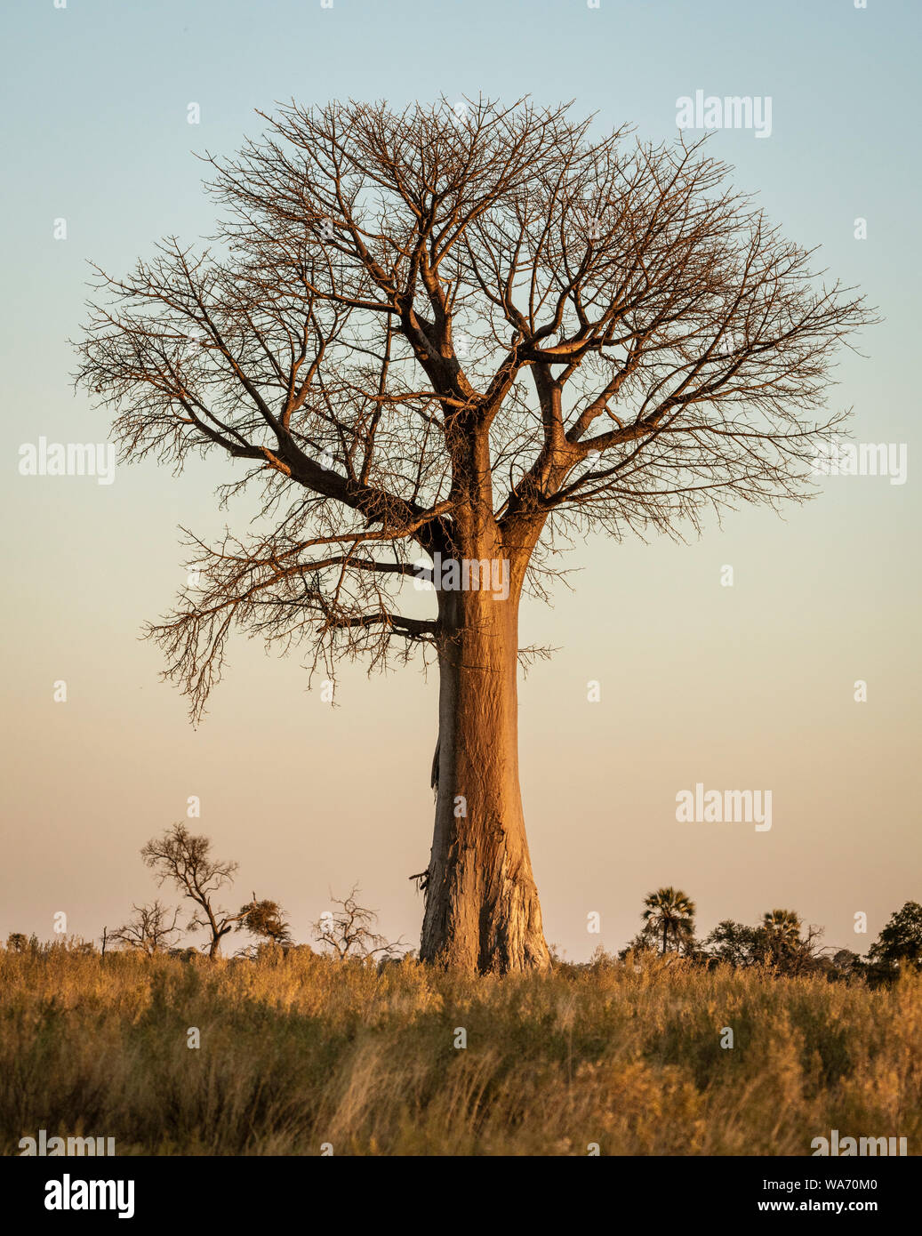 Botswana Agriculture High Resolution Stock Photography and Images - Alamy