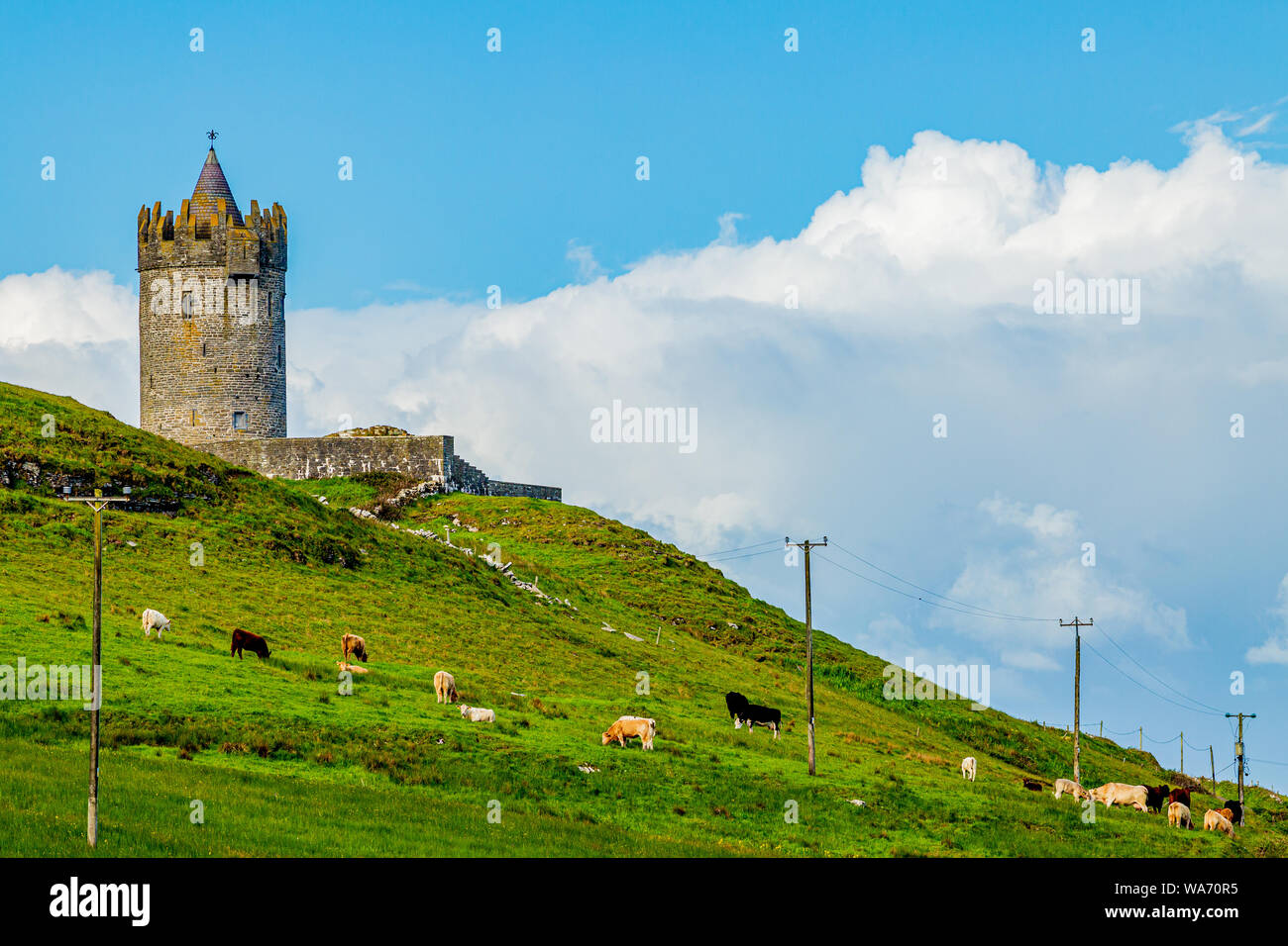 Beautiful view of a field with cattle grazing with the Doonagore Castle ...