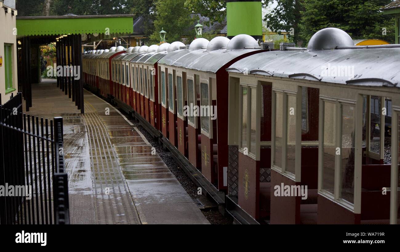 Longleat zoo zebra hi-res stock photography and images - Alamy