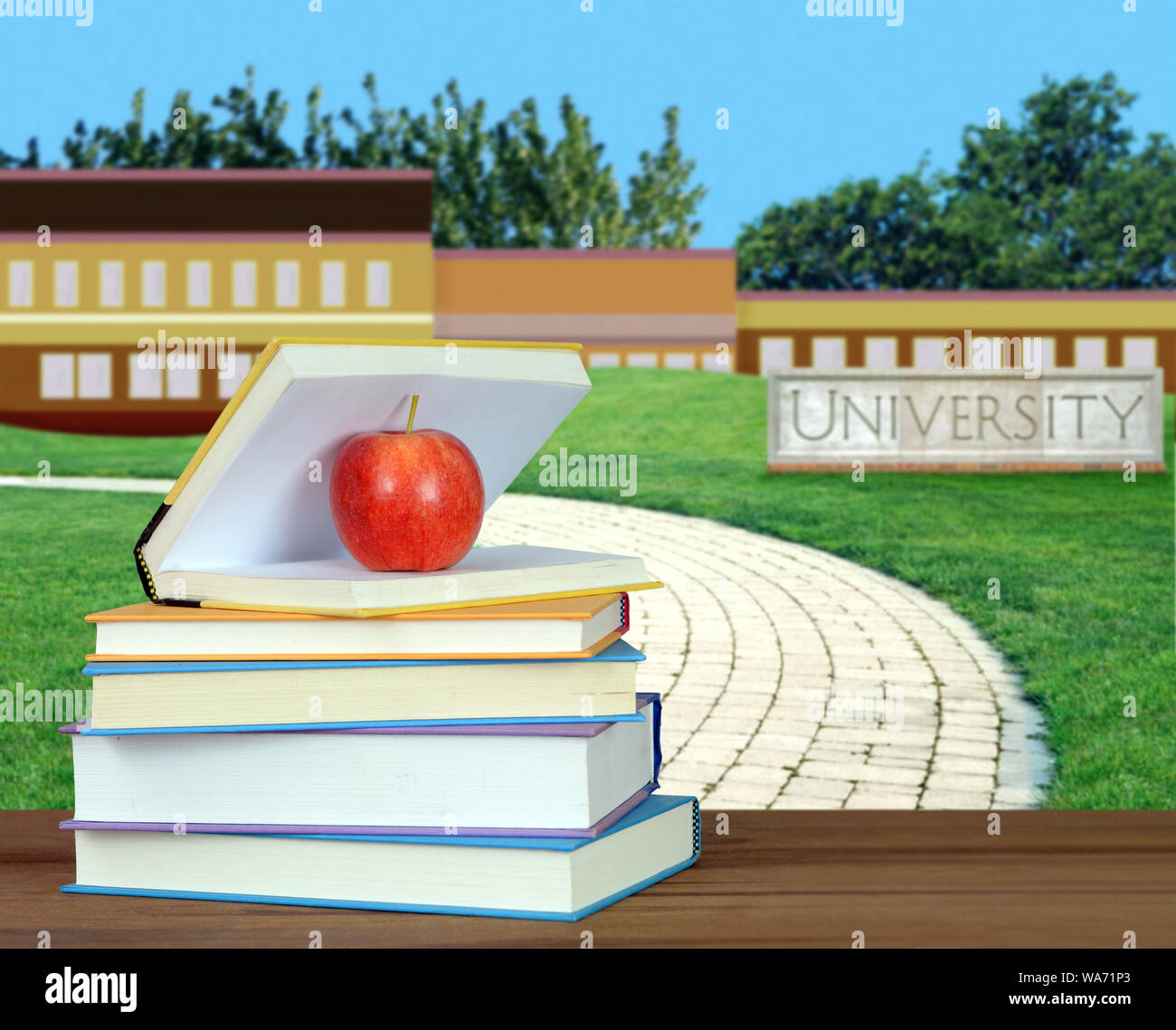 education concept: path to college or university Stock Photo - Alamy