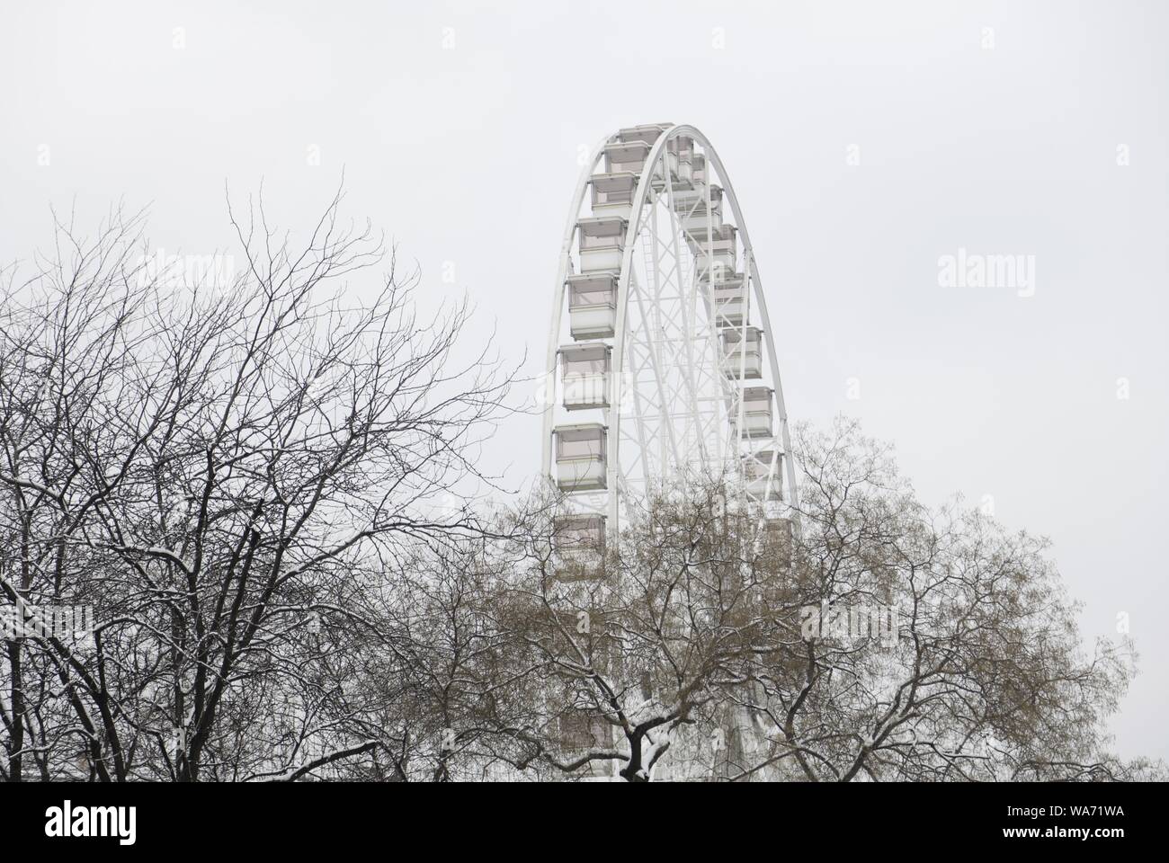Ferris wheel behind trees hi-res stock photography and images - Alamy