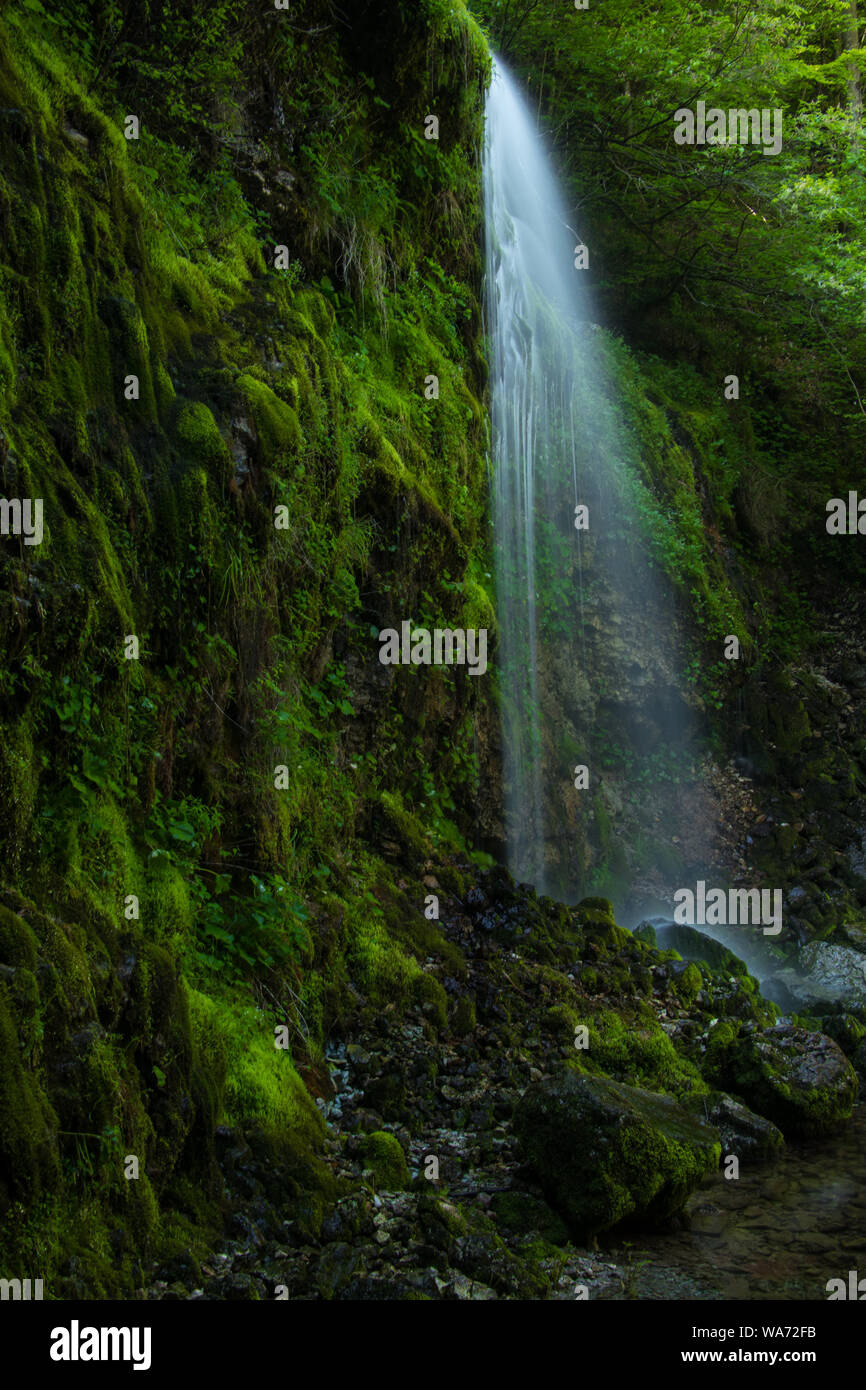 Small vivid waterfall from side Stock Photo - Alamy
